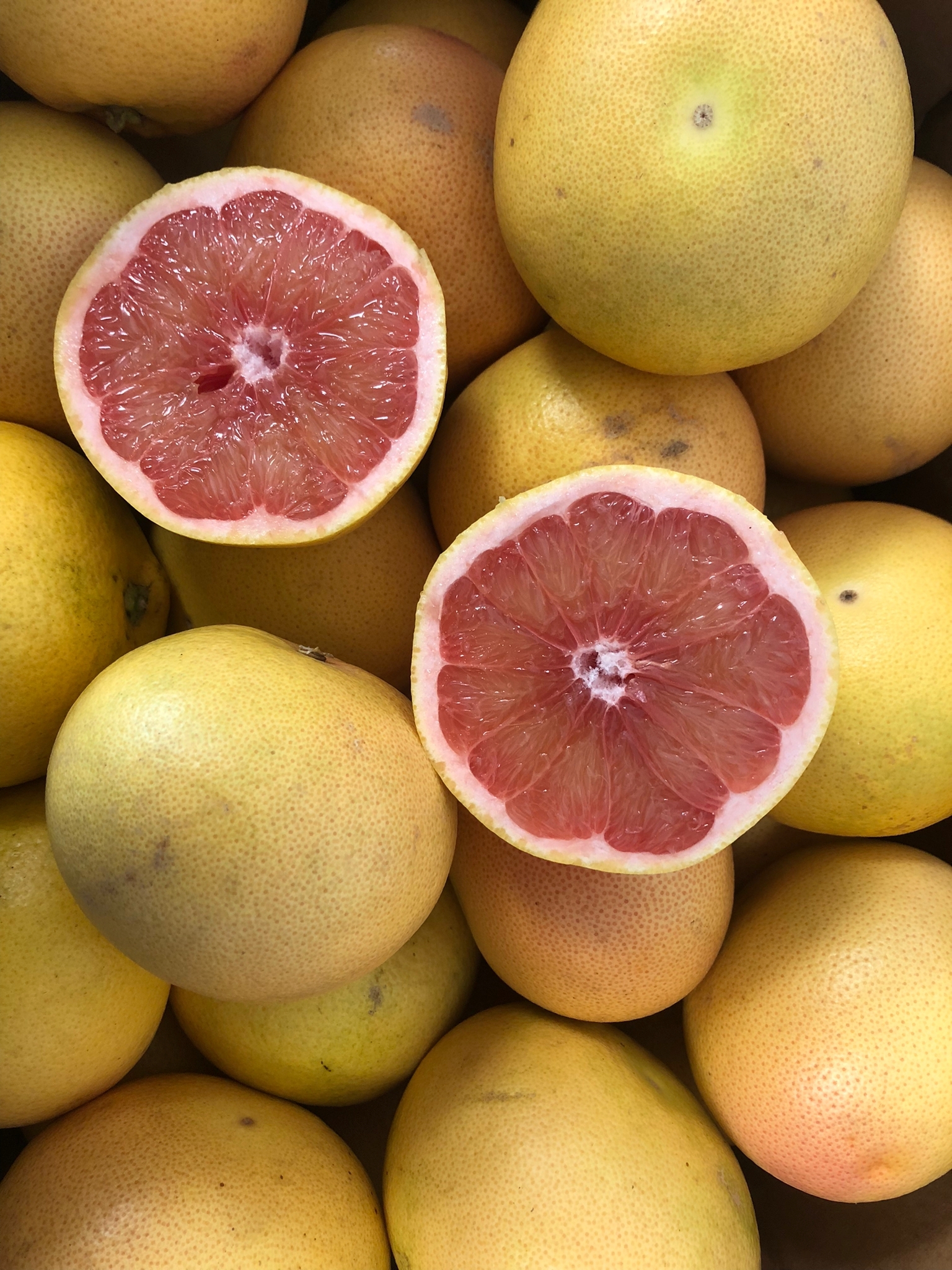 Les pomelos BIO - Eticmiam
